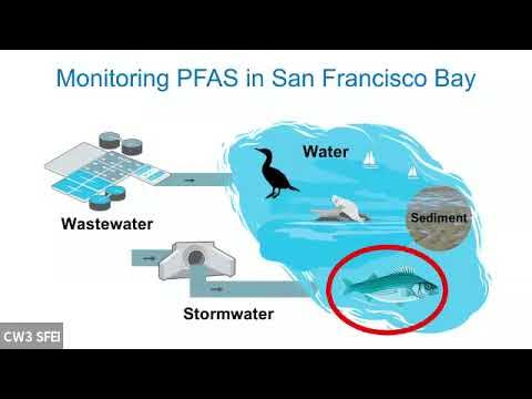 Session 3: PFAS - YouTube