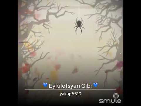 Eylüle isyan gibi - YAKUP BÖKE