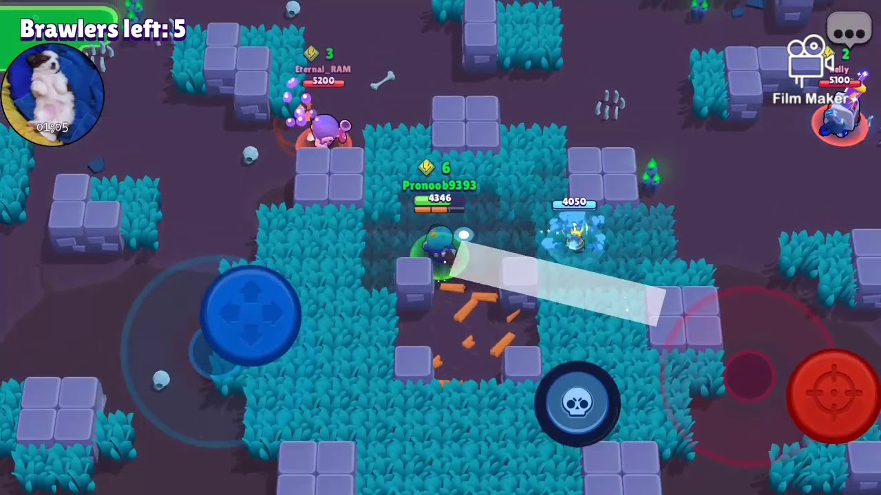 MY FIRST BRAWL STARS VIDEO(with a pic of my dog) - YouTube