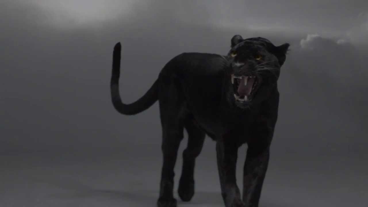 Spot Promo Speciale RockEconomy - YouTube