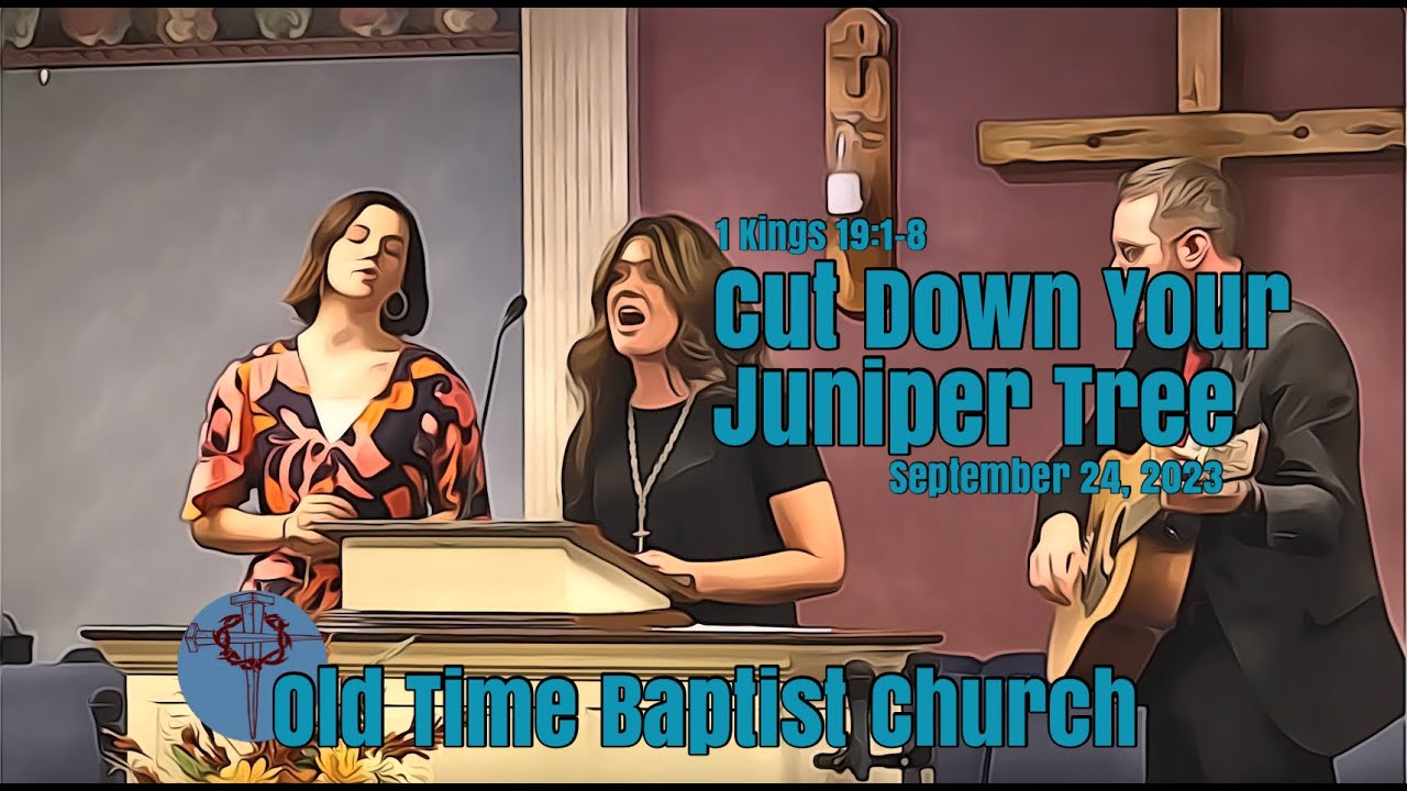 09/24/23: Cut Down Your Juniper Tree - YouTube