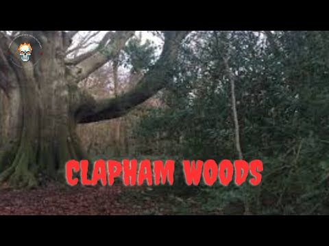 Clapham woods ,West Sussex - YouTube