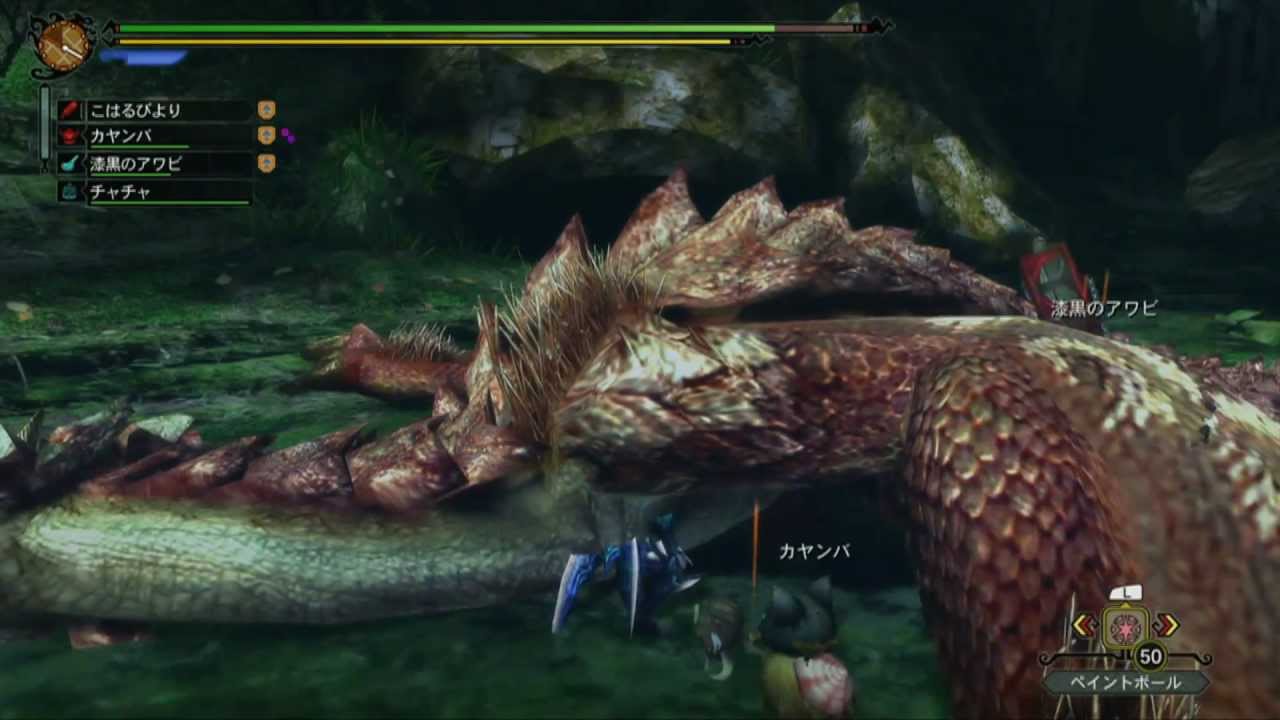 Monster Hunter 3 Ultimate G-rank Pink Rathian and Azure Rathalos JPN ...