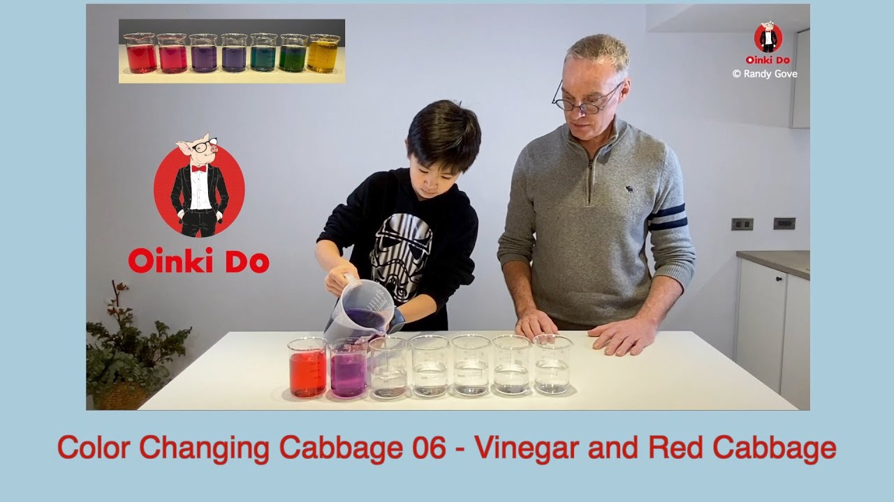 Color Changing Cabbage 06 - Vinegar and Red Cabbage - YouTube