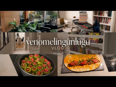     Sessiz Vlog • Çocuk Odası Temizliği• Tantuni Tarifi •Ev Hali 