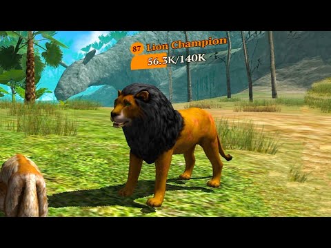 The Wolf - Lion Champion In Featured Tropical Forest 🏆 - YouTube