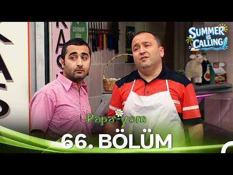Papatyam 66. Bölüm - Summer Is Calling ☀️
