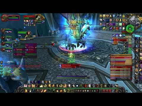 Warmane: Sindragosa ICC 10 nm as Protection Paladin (solo tank).