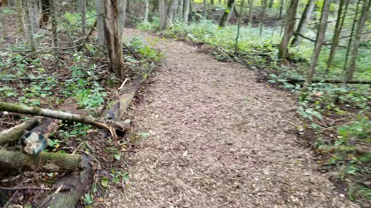 Wood Chips on trail - YouTube