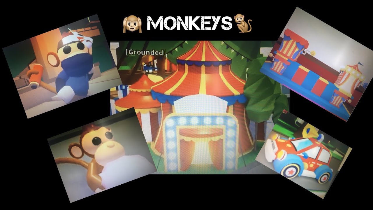 ALL of the NEW monkeys in adopt me! - YouTube
