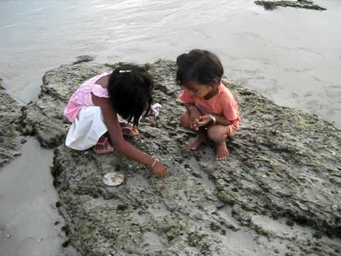 kids eating off rocks - YouTube