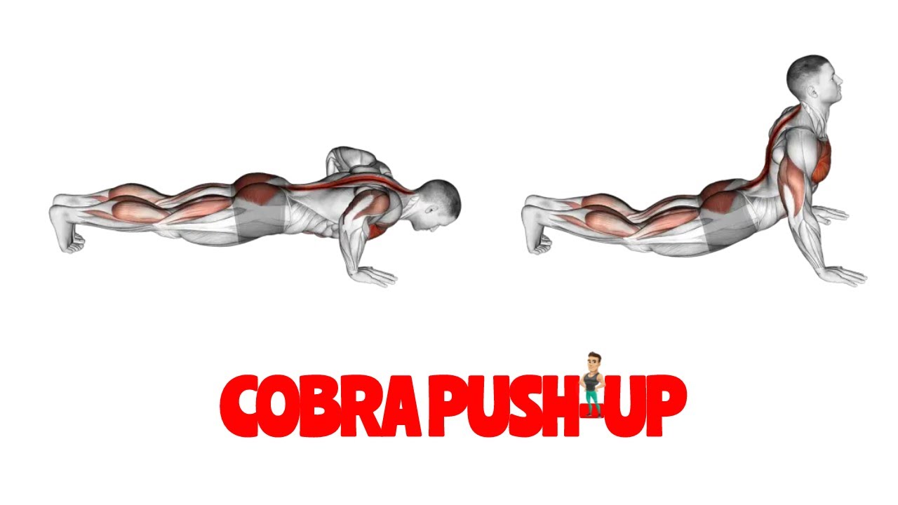 COBRA PUSH UP - YouTube