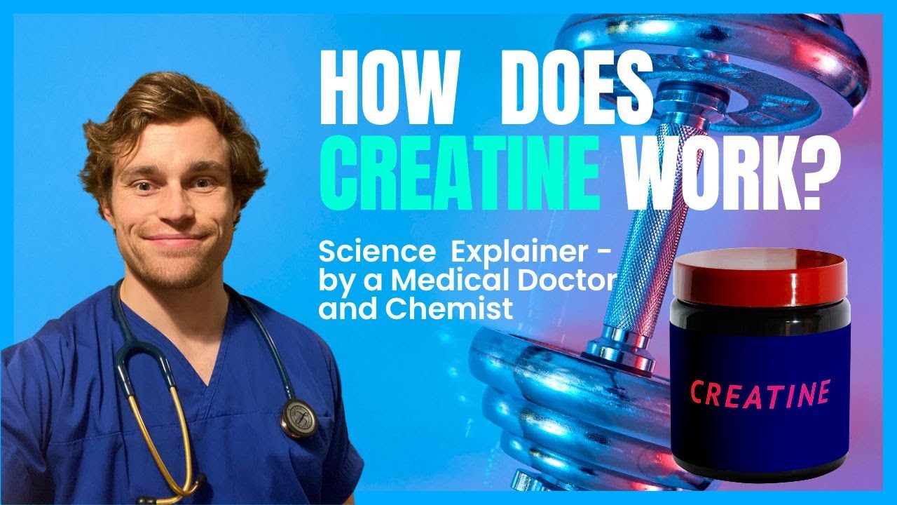 How Creatine Works | What Creatine is and its role in Muscle Function ...