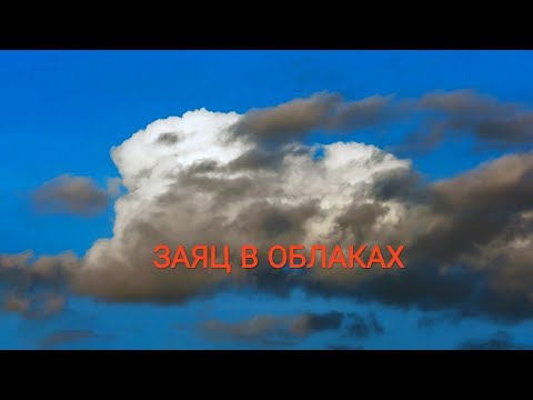 Заяц в облаках - ДИАЛОГ - YouTube