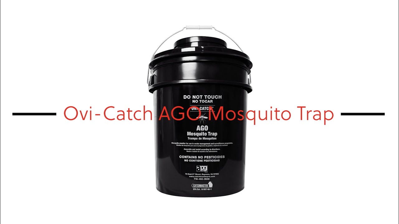 Ovi-Catch and Ovi-Planter by Catchmaster - YouTube