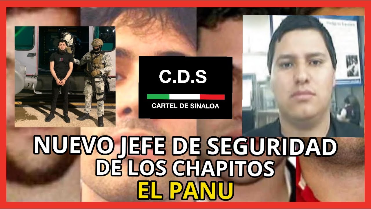 Los Chapitos Reemplazan A El Nini Y eligen a “El panu” como su nuevo ...