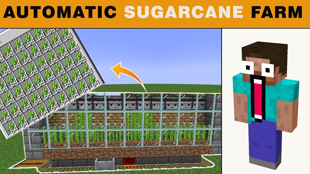 How to Build: Automatic Sugar Cane Farm | Minecraft (Hindi) - YouTube