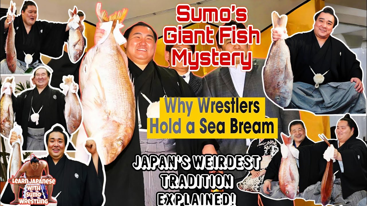 Sumo’s Giant Fish Mystery: Why Wrestlers Hold a Sea Bream? (Japan’s ...