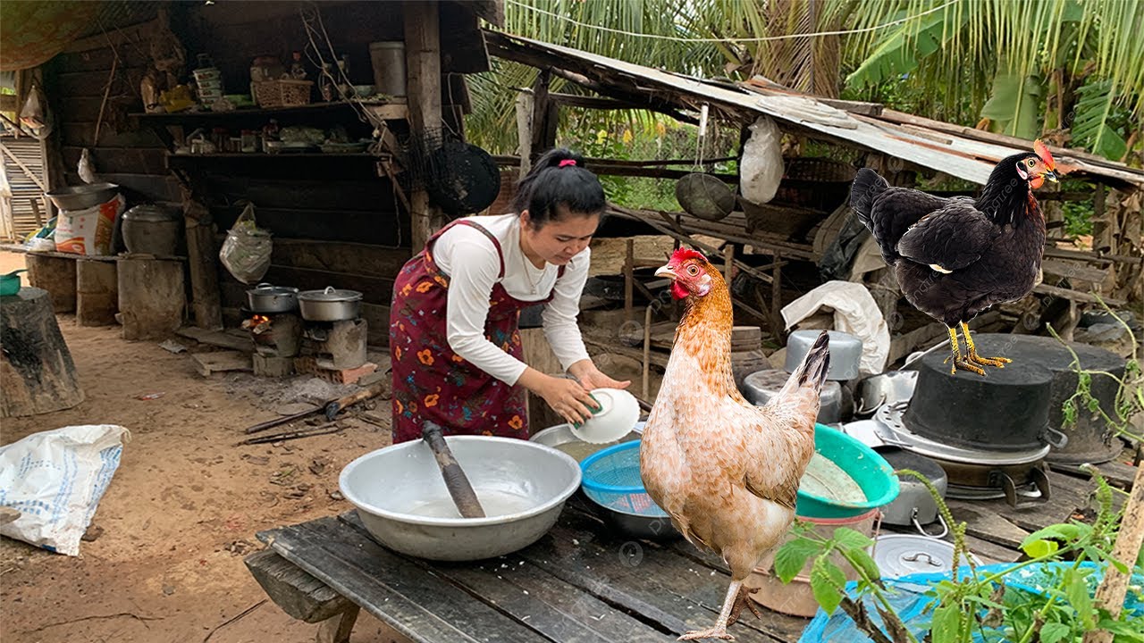 Village cooking activities| Rural cooking. - YouTube