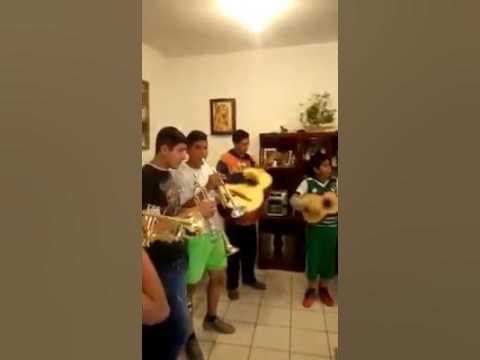 Mariachi los pollitos corrido - YouTube