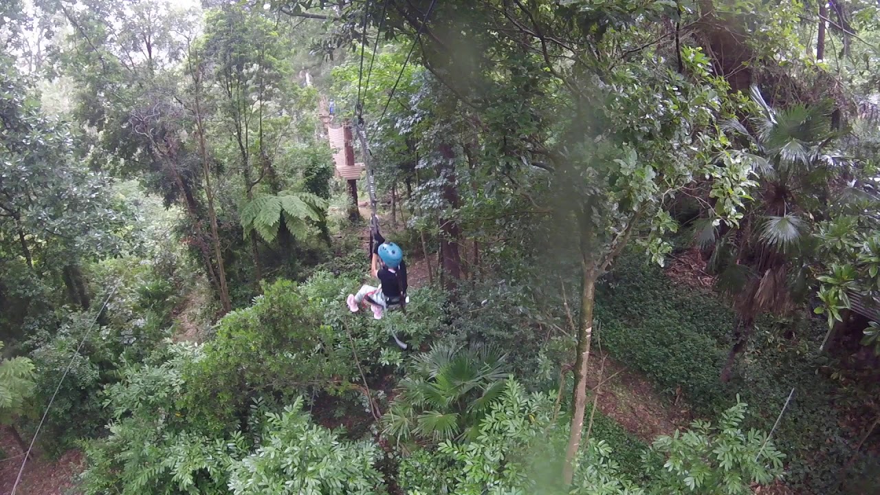 tree adventure Belgrave Mehar 25 - YouTube