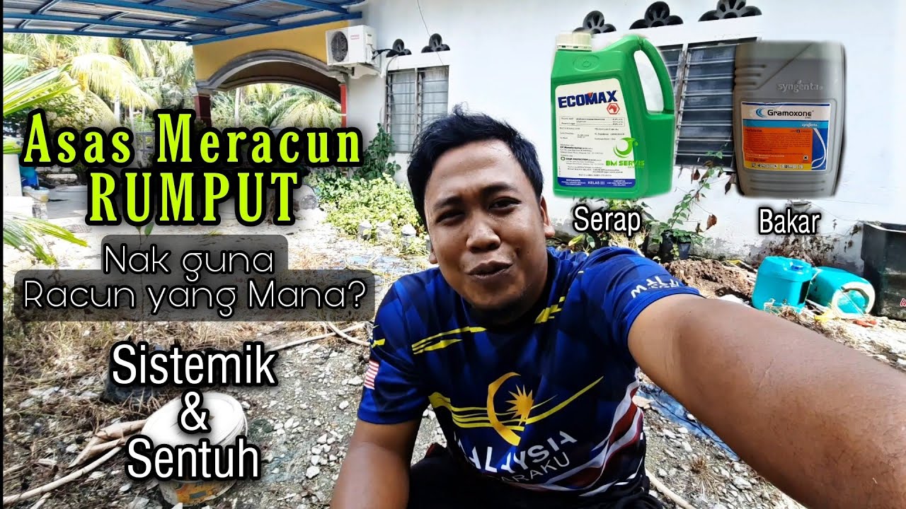 Apa itu RACUN BAKAR & RACUN SERAP | Pengenalan Asas Meracun Rumput ...