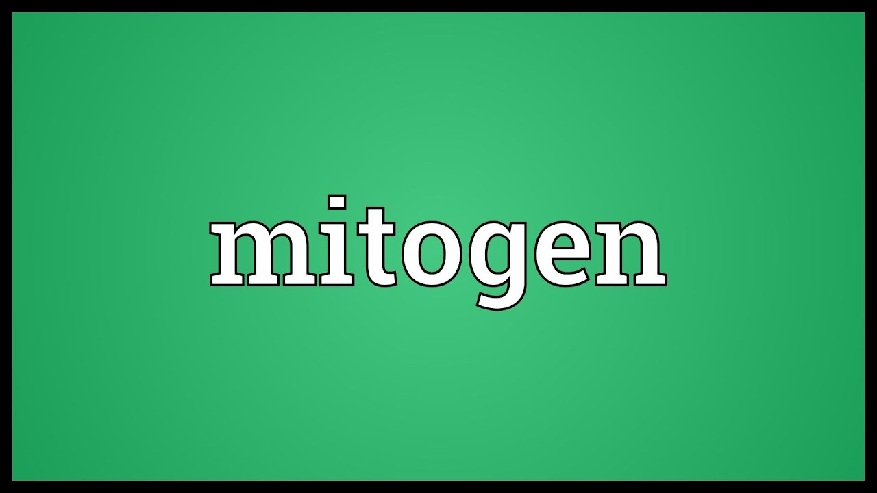 Mitogen Meaning - YouTube