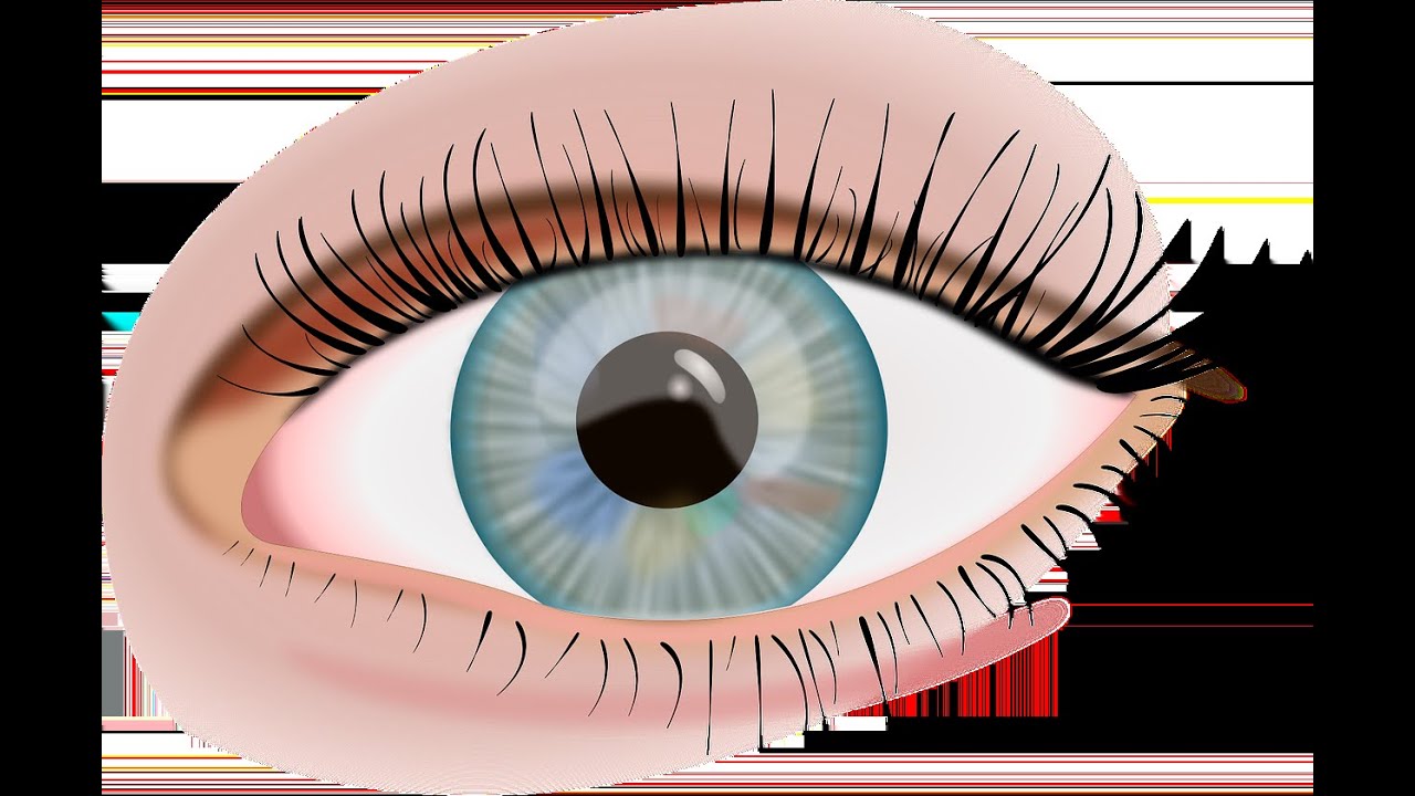 Acute (sudden) onset of partial blindness - YouTube