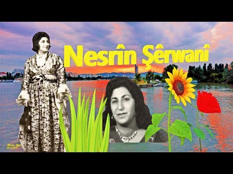 Nesrîn Şêrwan Stirana-Dîlan Dîlan 4K  نەسرین شێروان سترانا-دیلان دیلان