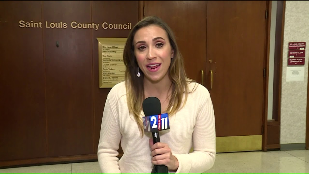 Calls for more oversight, transparency at St. Louis County Council ...