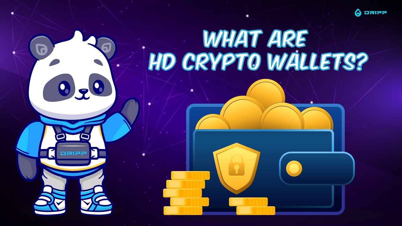 What are HD Crypto Wallets? | Crypto Chris | DRIPP | Latest Video 2024 ...