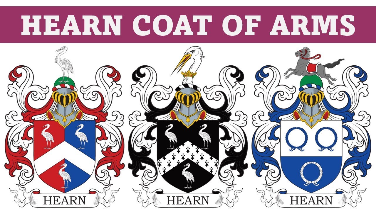 Hearn Coat of Arms & Family Crest - Symbols, Bearers, History - YouTube
