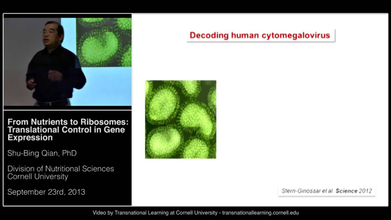 Shu-Bing Qian - From Nutrients to Ribosomes: Translational Control in ...