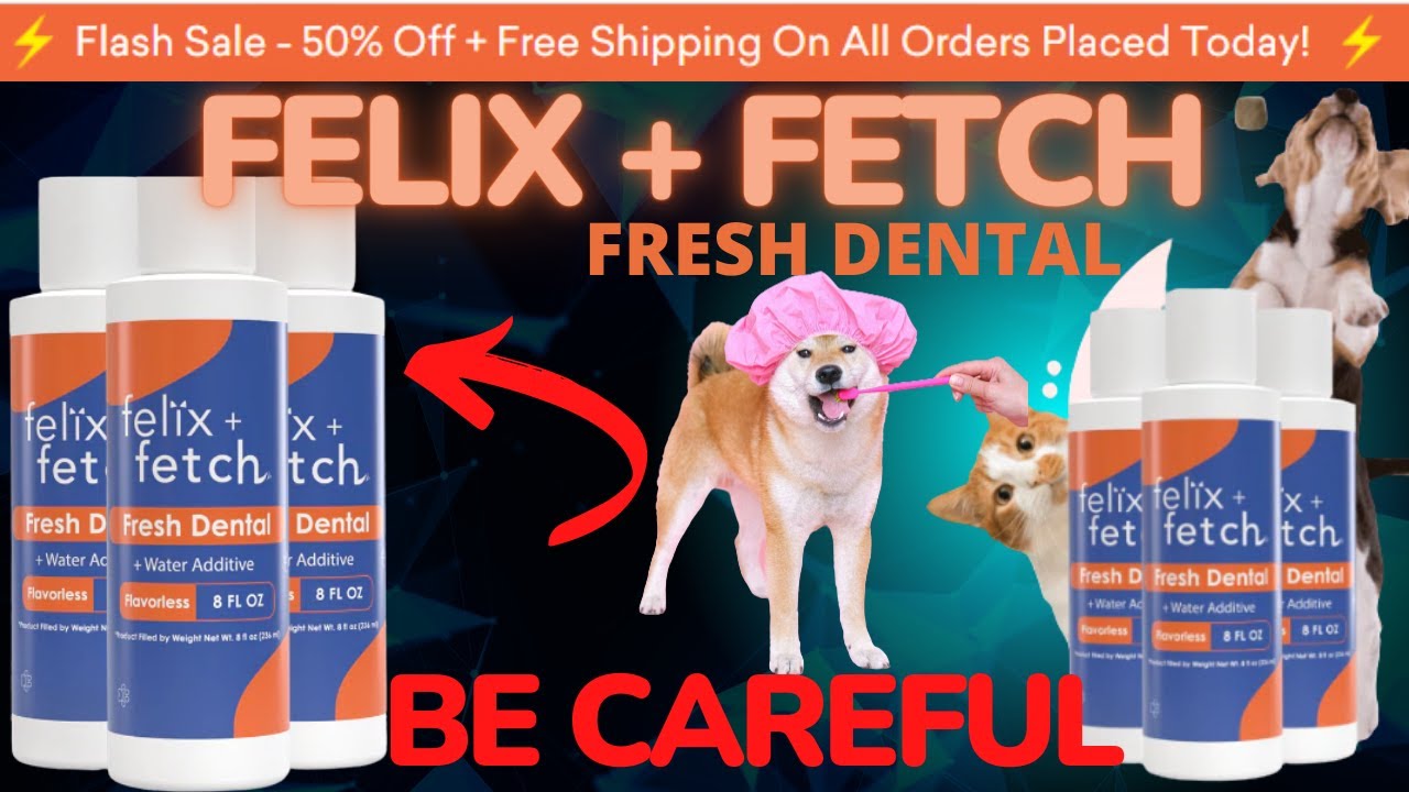 FELIX + FETCH FRESH DENTAL - FELIX FETCH FRESH DENTAL REVIEW - Felix ...