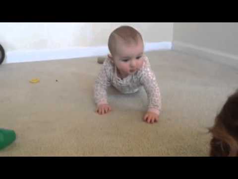 Trying to crawl - YouTube