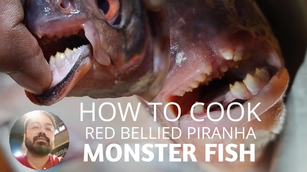 How to Cook Piranha fish | easy way to make red bellied piranha fish ...