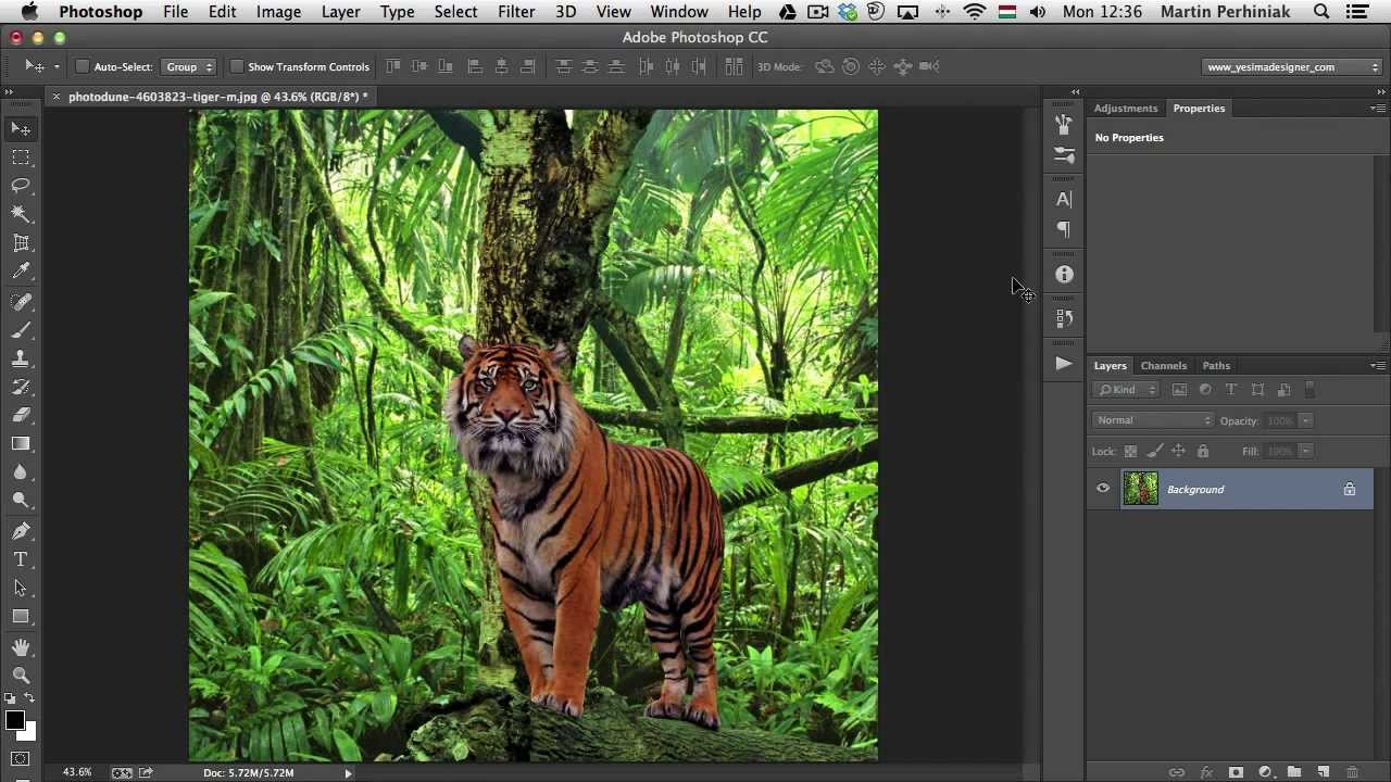 10 Things You Should Know About the Crop Tool | Envato Tuts+