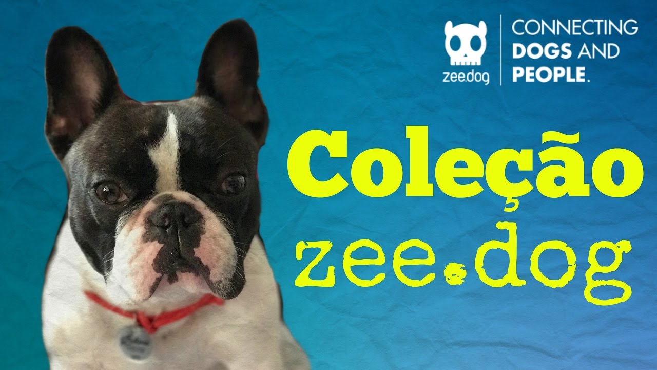 Coleção zeedog - YouTube