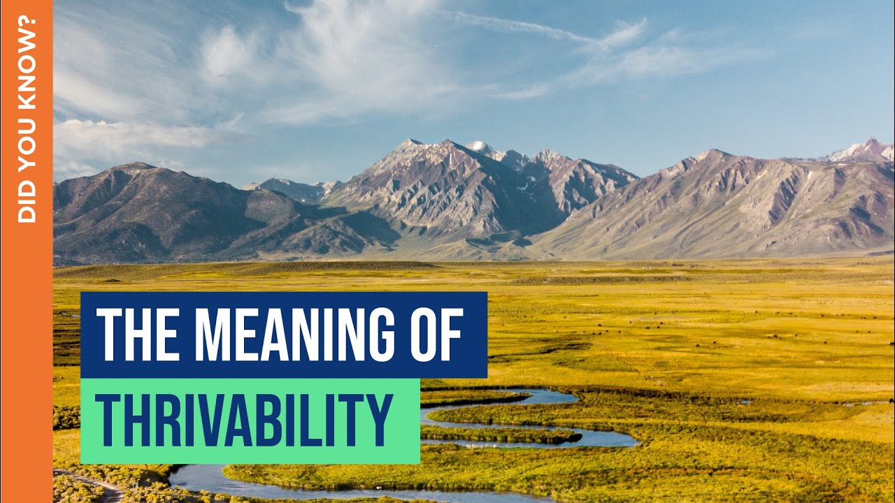 The Meaning of Thrivability | Did You Know? | THRIVE - YouTube