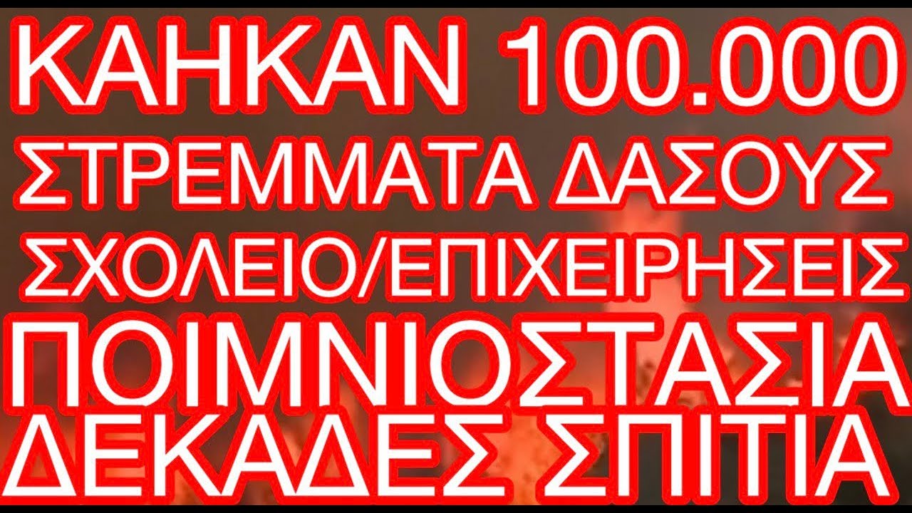 ΚΑΗΚΑΝ 100.000 ΣΤΡΕΜΜΑΤΑ ΔΑΣΟΥΣ/ΕΠΙΧΕΙΡΗΣΕΙΣ/ΣΧΟΛΕΙΟ//ΠΟΙΜΝΙΟΣΤΑΣΙΑ ...
