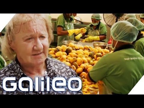 70 Mio.€/Jahr - Der Bio-Obst Millionär | Galileo | ProSieben
