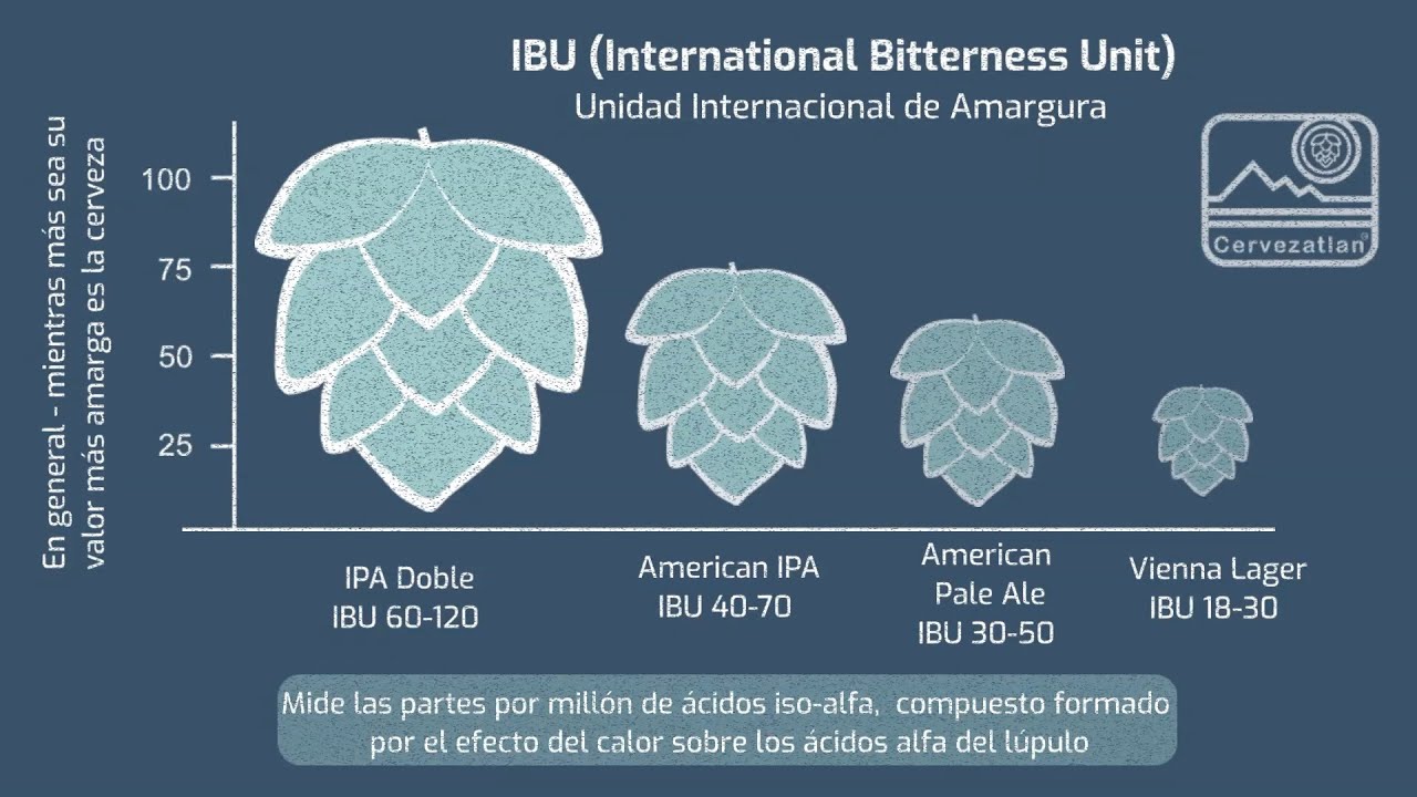 ¿Qué es el IBU en cerveza? - YouTube