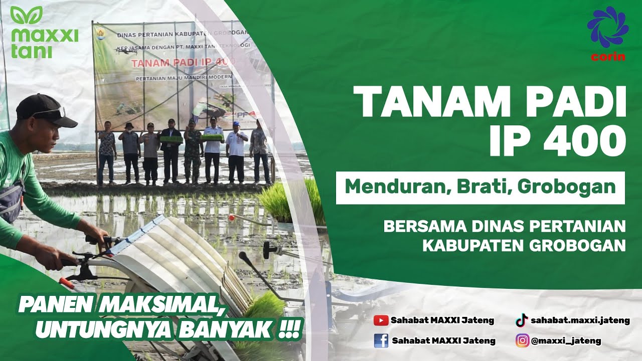 MAXXI TANI || KEGIATAN PERCEPATAN TANAM IP 400 DINAS PERTANIAN GROBOGAN ...