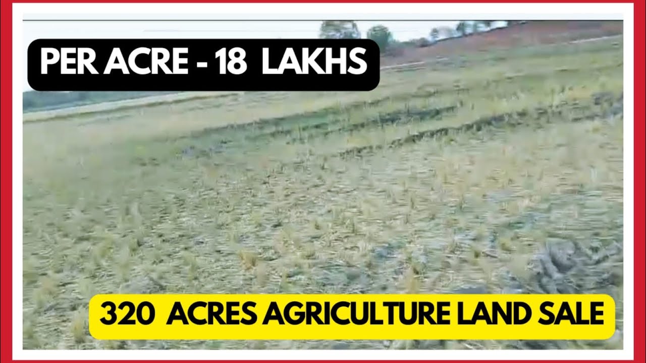 320 Acres land Agricultural land sale cheap price investment opportunity - YouTube