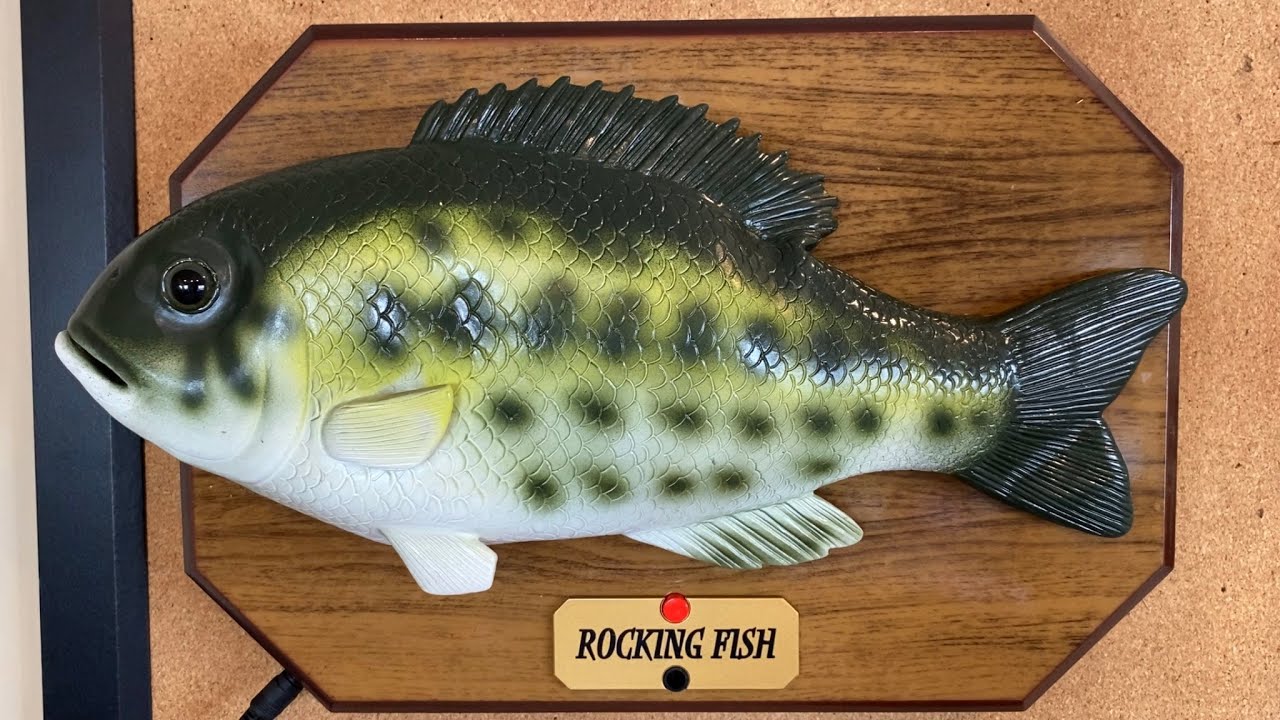Rocking Fish Crappie The Singing Animation Animated Singing Fish - YouTube