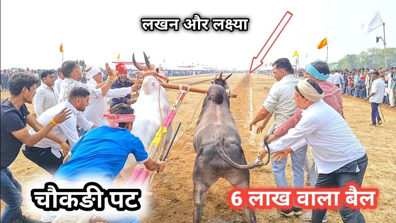 लक्ष्या और लखन। पूनम जी गीला नीमगांव। बैलगाङी दौङ चौकङी।धमाकेदार ...