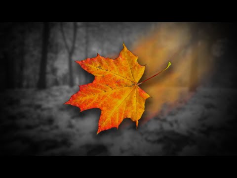 Forever Autumn (from Jeff Wayne's The War of the Worlds) - Piano Tutorial