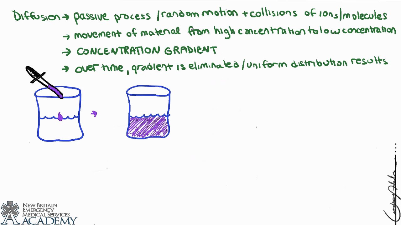 Simple Diffusion YouTube simple-diffusion-youtube