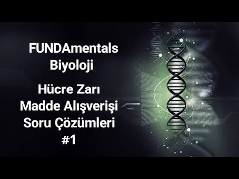 Hücre Zarı Soru Çözümleri#1