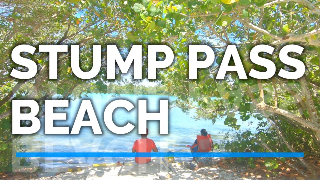 Afternoon At Stump Pass Beach State Park, Englewood Florida 🏖 - YouTube